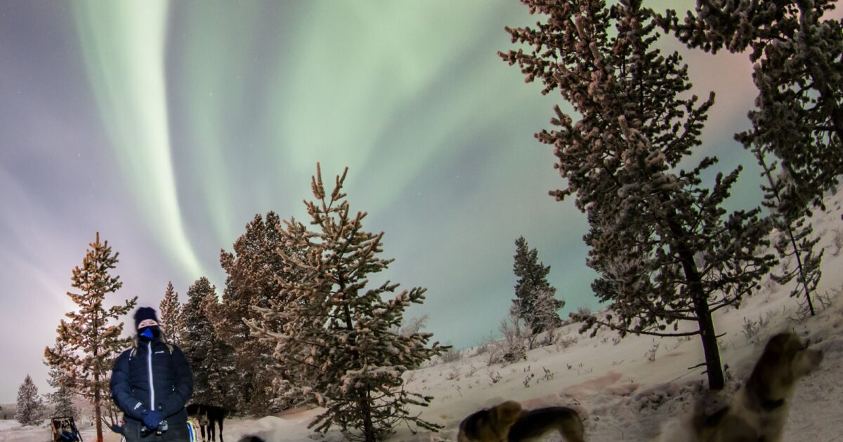 Hunting Northern Lights by Husky | Norwegian Travel