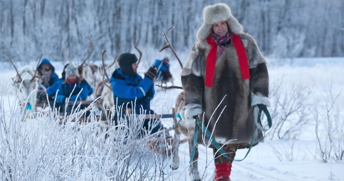 Reindeer Sledding Tours in Tromsø | Norwegian Travel