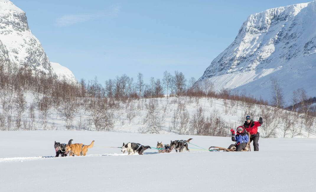 Dog Sledding Adventure Daytime - Incl. Transport | Norwegian Travel